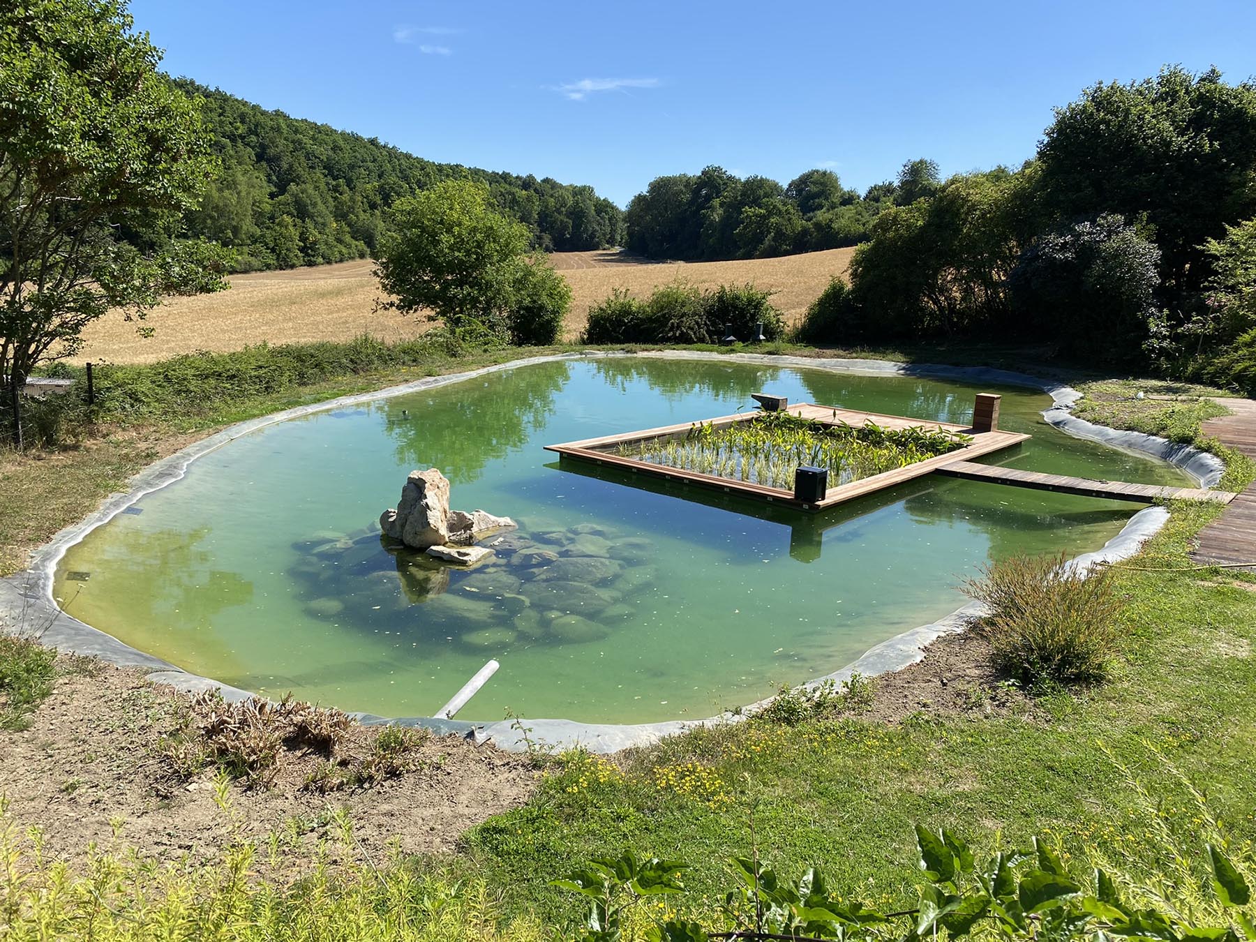 bassin à koi - Bassin de 500m3 à koi - Aquakoi