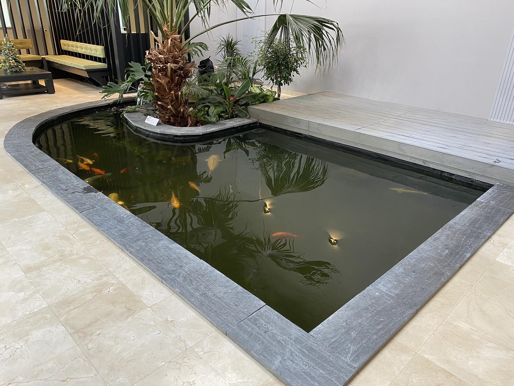Bassin d'intérieur pour carpe koi avec filtration tambour
