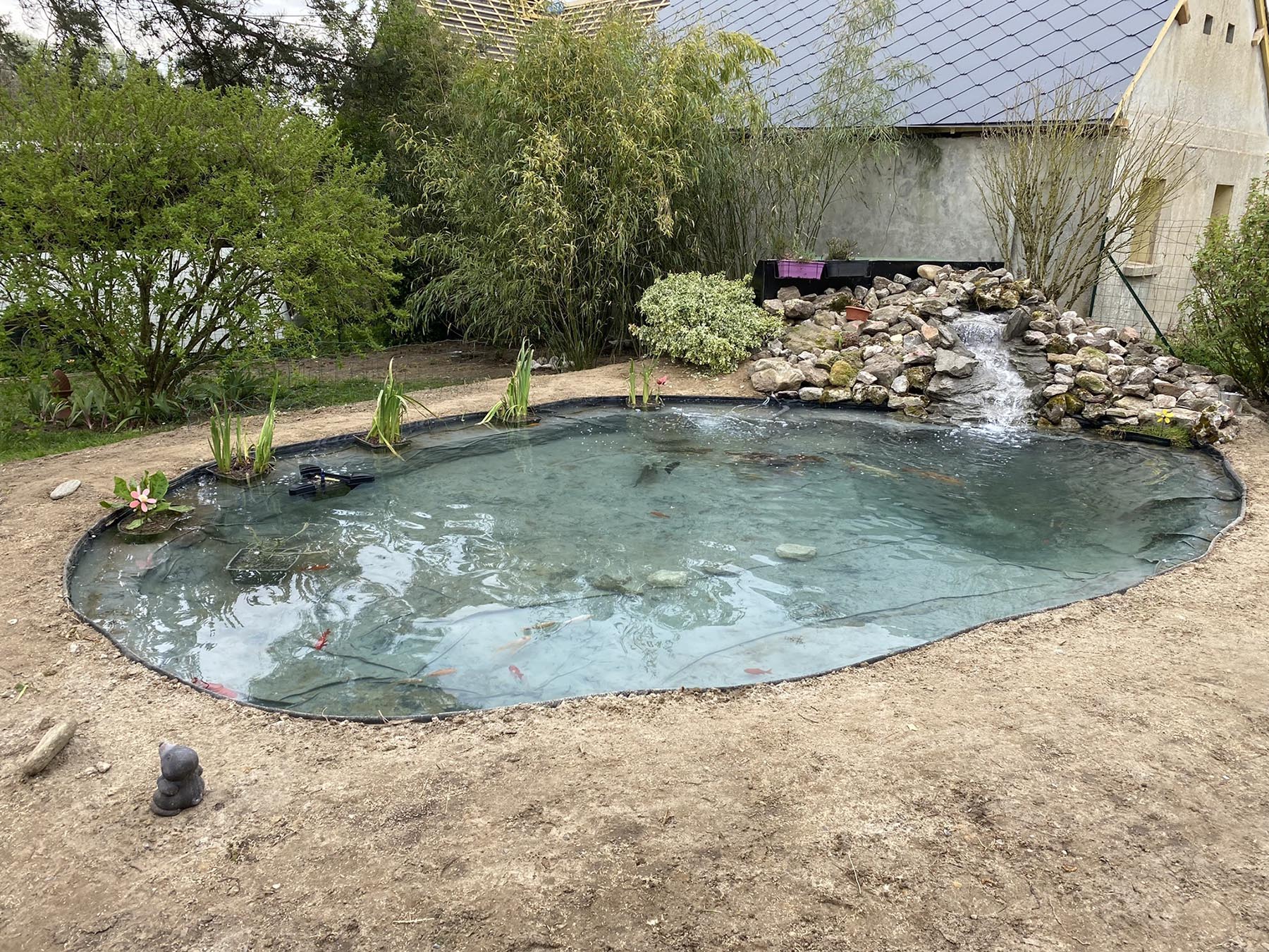 Bassin avec cascade à poisson rouge de 15 m3 - Aquakoi